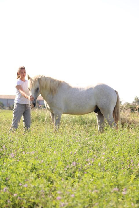 Bouton acné - le lait de jument solution naturelle et efficace